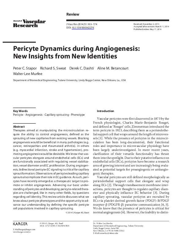 (PDF) Pericyte Dynamics during Angiogenesis: New Insights from New ...