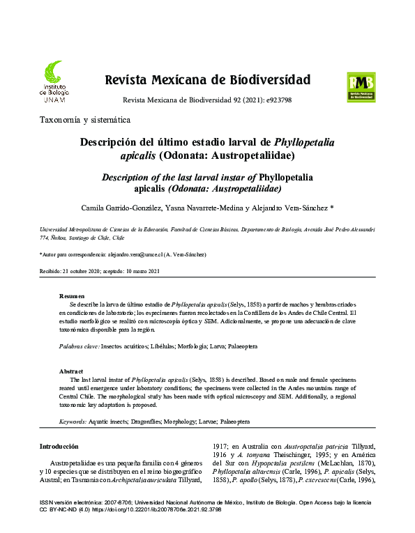 (PDF) Descripción del último estadio larval de Phyllopetalia apicalis ...