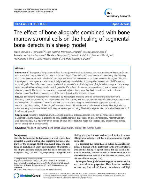 (PDF) The effect of bone allografts combined with bone marrow stromal ...