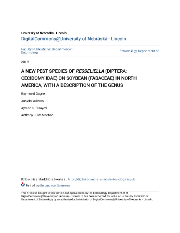 (PDF) A New Pest Species of Resseliella (Diptera: Cecidomyiidae) on ...