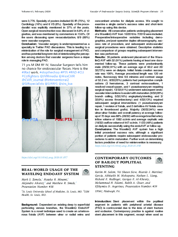 Pdf Real World Usage Of The Wavelinq Endoavf System Alejandro Alvarez