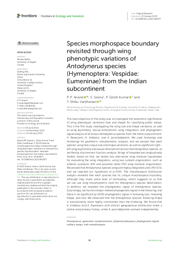 (PDF) Species morphospace boundary revisited through wing phenotypic variations of Antodynerus ...