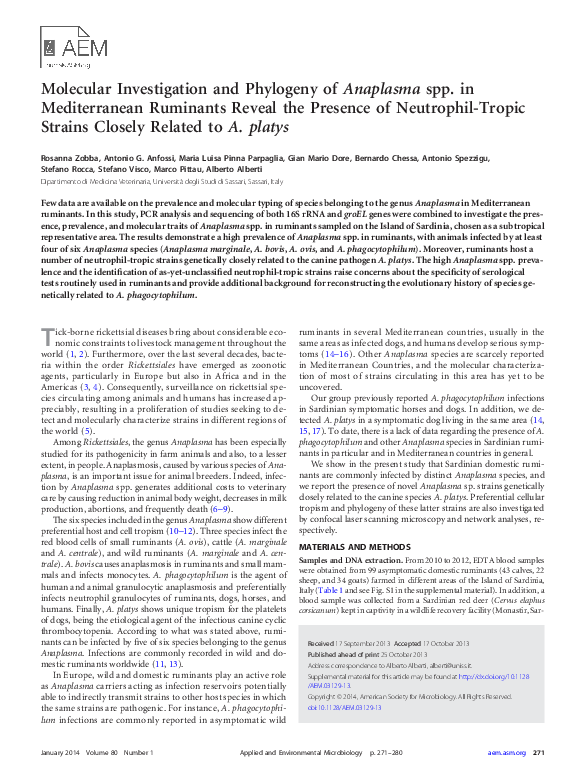 (PDF) Molecular Investigation and Phylogeny of Anaplasma spp. in ...