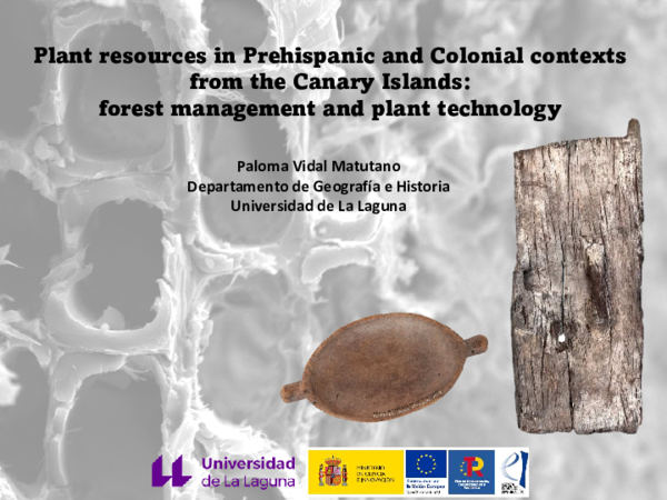 (PDF) Plant resources in Prehispanic and Colonial contexts from the ...