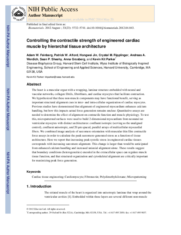 (PDF) Controlling the contractile strength of engineered cardiac muscle ...