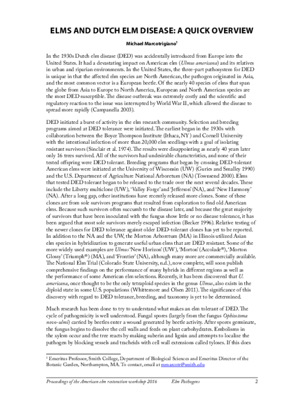 (PDF) Elms and Dutch elm disease: a quick overview