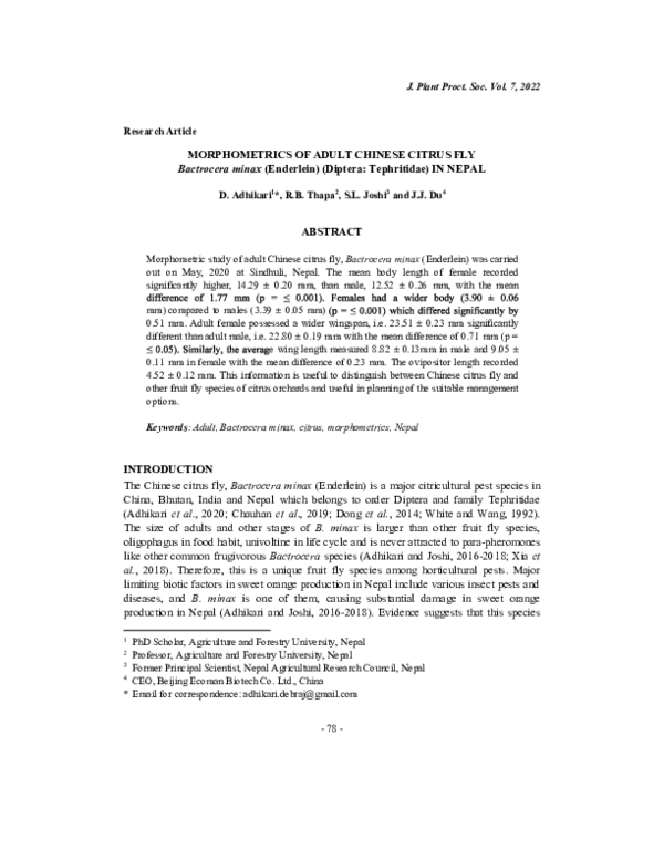 (PDF) Morphometrics of Adult Chinese Citrus Fly Bactrocera minax ...