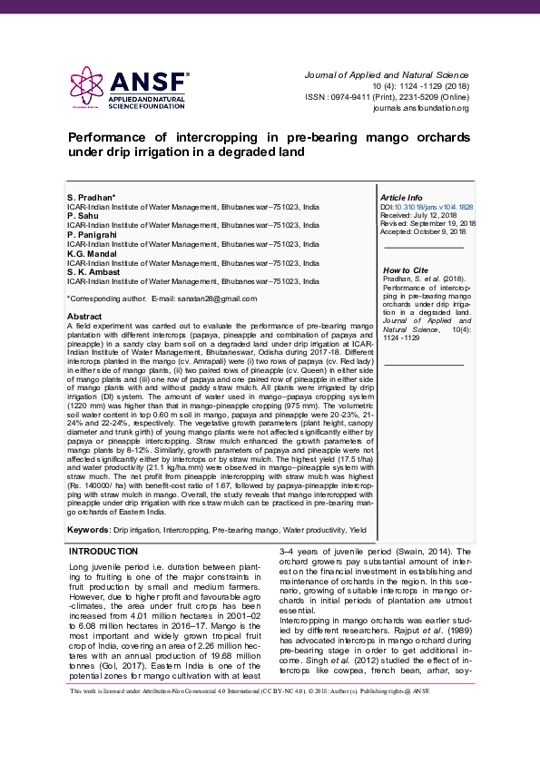 (PDF) Performance of intercropping in pre-bearing mango orchards under ...