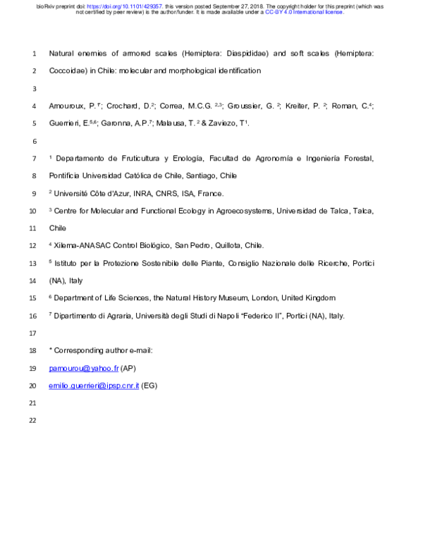 (PDF) Natural enemies of armored scales (Hemiptera: Diaspididae) and ...