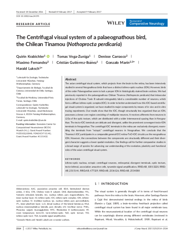 (PDF) The centrifugal visual system of a palaeognathous bird, the ...