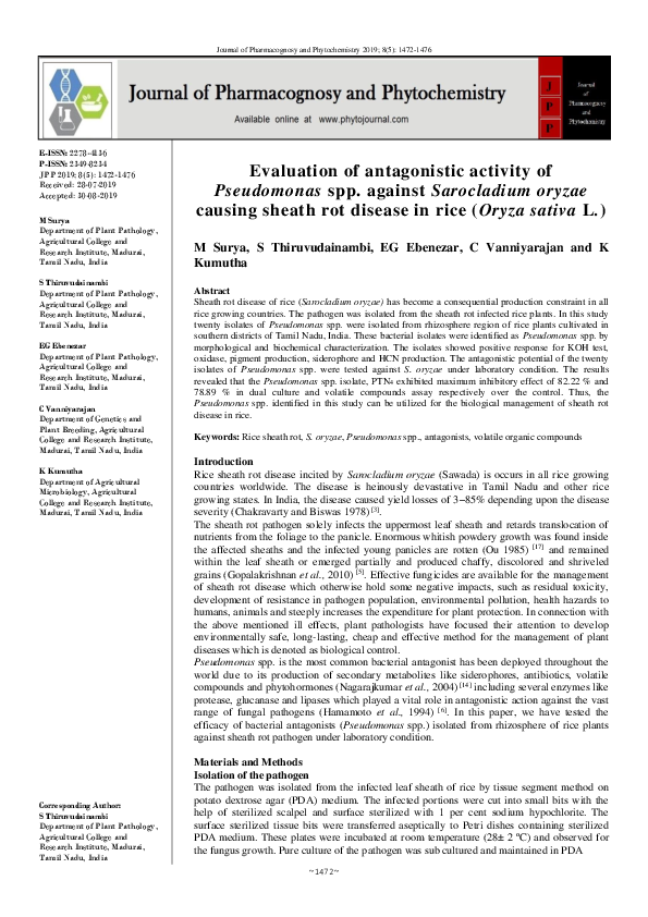 (PDF) Evaluation of antagonistic activity of Pseudomonas spp. against ...