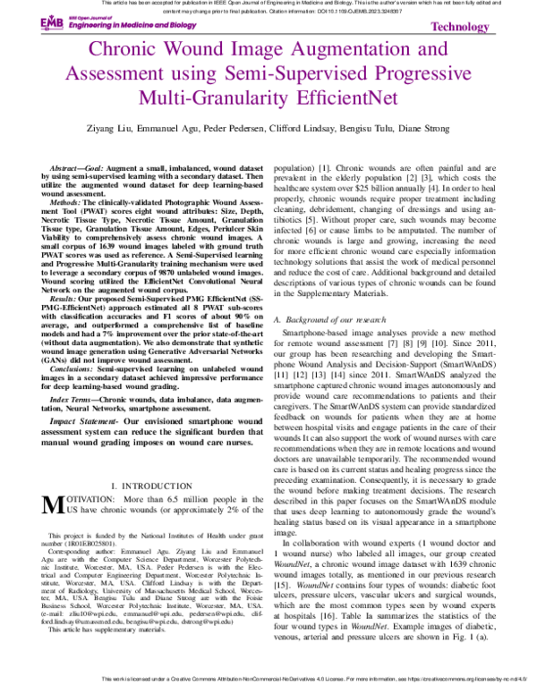 (PDF) Chronic Wound Image Augmentation and Assessment Using Semi ...