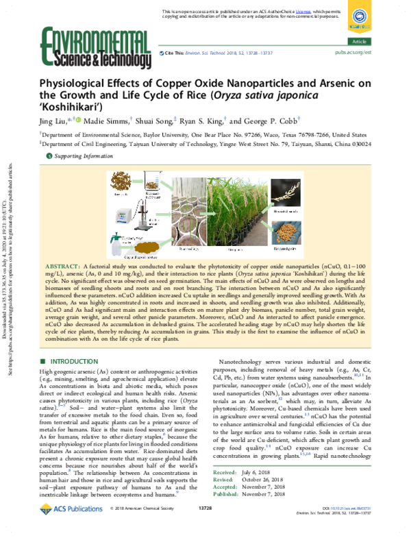 (PDF) Physiological Effects of Copper Oxide Nanoparticles and Arsenic ...