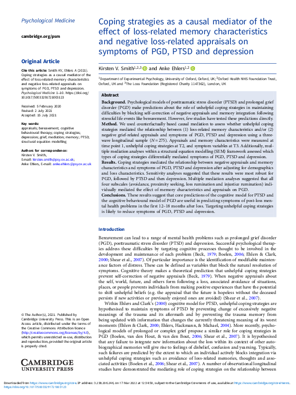 (PDF) Coping strategies as a causal mediator of the effect of loss ...