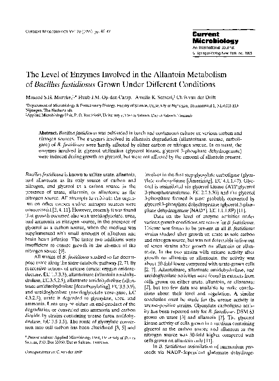 (PDF) The level of enzymes involved in the allantoin metabolism of ...