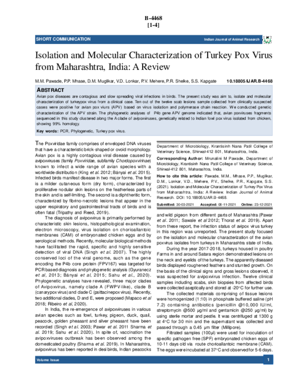 Pdf Isolation And Molecular Characterization Of Turkey Pox Virus From