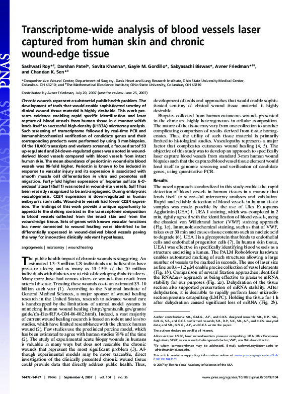 (PDF) Transcriptome-wide analysis of blood vessels laser captured from ...