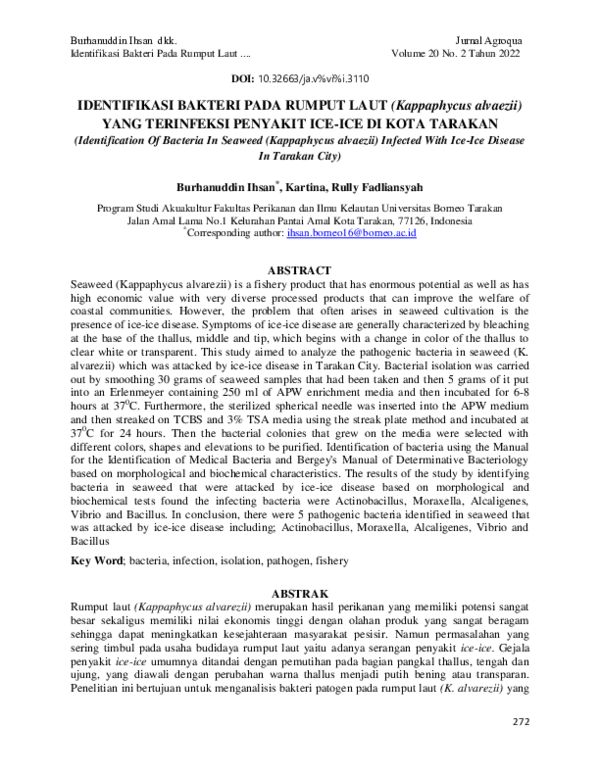 (PDF) Identification Of Bacteria In Seaweed (Kappaphycus alvaezii ...