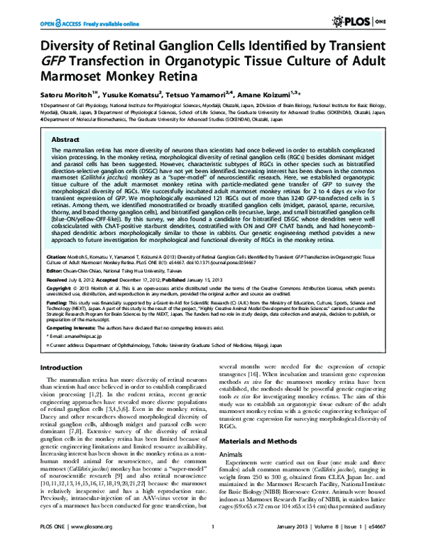 (PDF) Diversity of Retinal Ganglion Cells Identified by Transient GFP ...