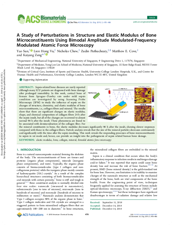 (PDF) A Study of Perturbations in Structure and Elastic Modulus of Bone ...