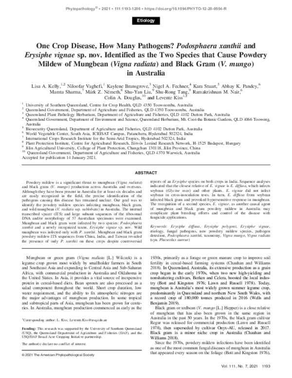 (PDF) Identifying Powdery Mildew Pathogens in Mungbean