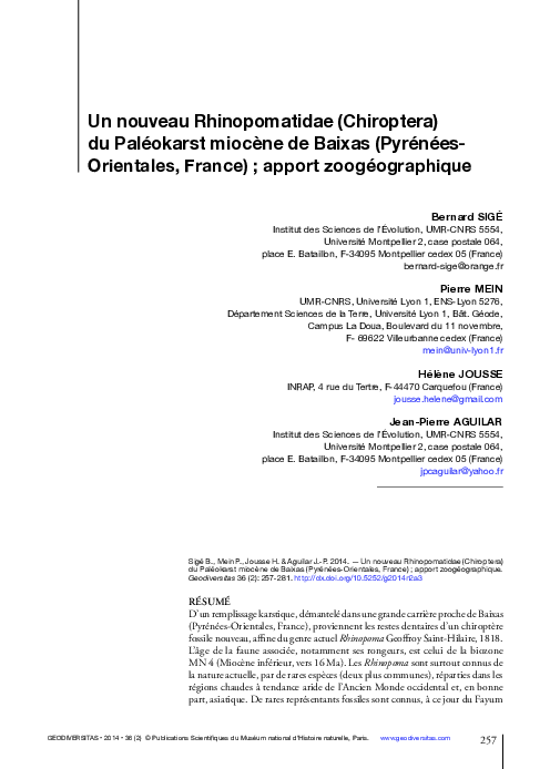 (PDF) Un nouveau Rhinopomatidae (Chiroptera) du Paléokarst miocène de ...