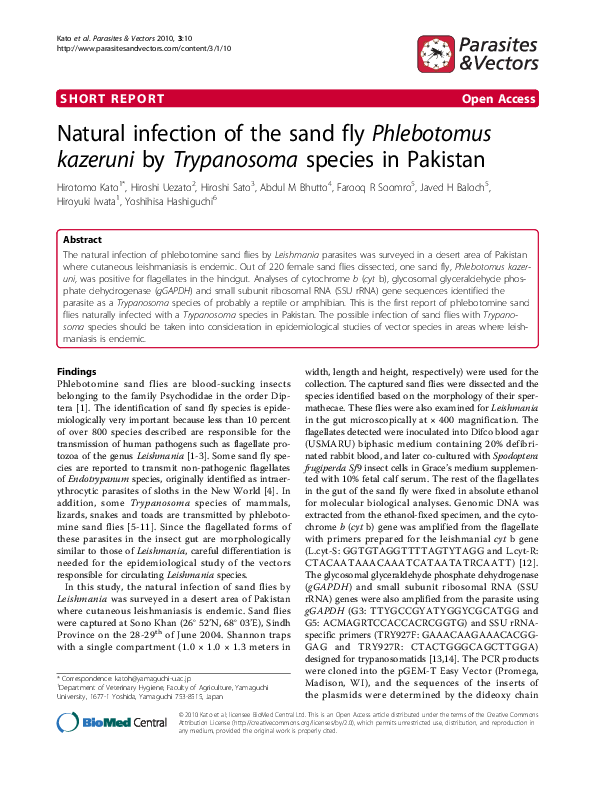 (PDF) Natural infection of the sand fly Phlebotomus kazeruni by ...