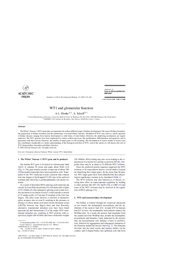 (PDF) WT1 and glomerular function