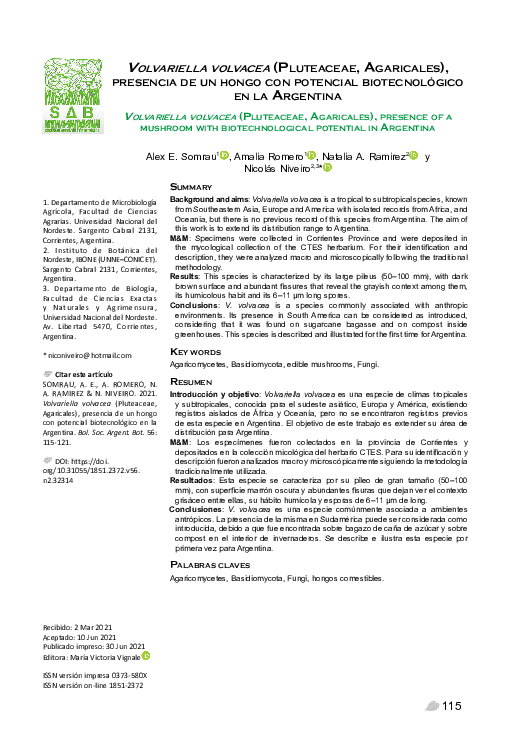 (PDF) Volvariella volvacea (Pluteaceae, Agaricales), presencia de un ...