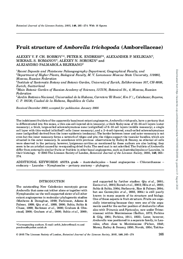 (PDF) Fruit structure of Amborella trichopoda (Amborellaceae)