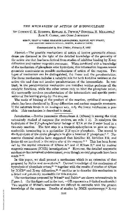 (PDF) The Mechanism of Action of Ribonuclease