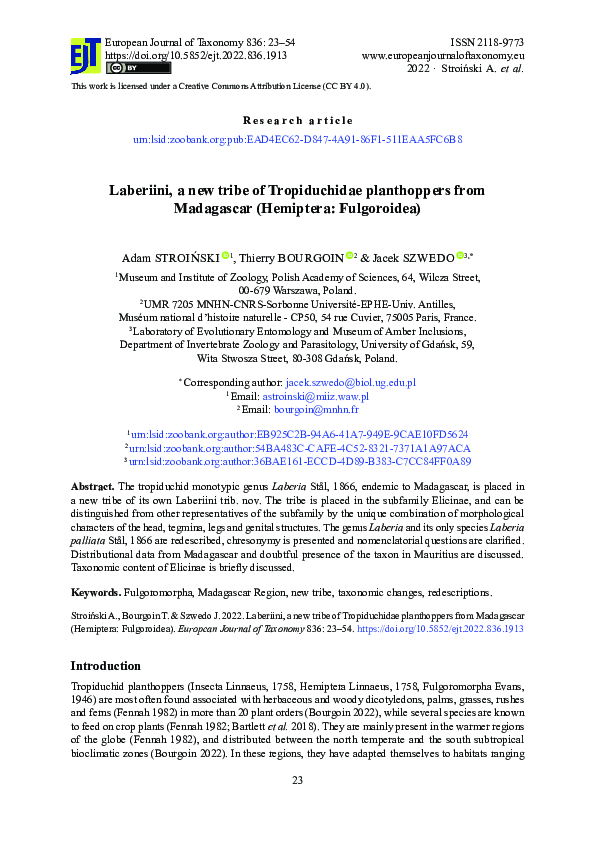 (PDF) Laberiini, a new tribe of Tropiduchidae planthoppers from ...