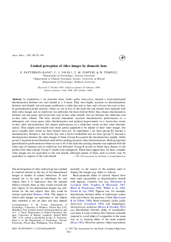 (PDF) Limited perception of video images by domestic hens
