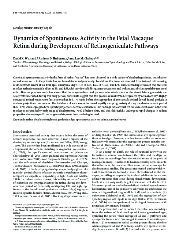 (PDF) Dynamics of spontaneous activity in the fetal macaque retina ...