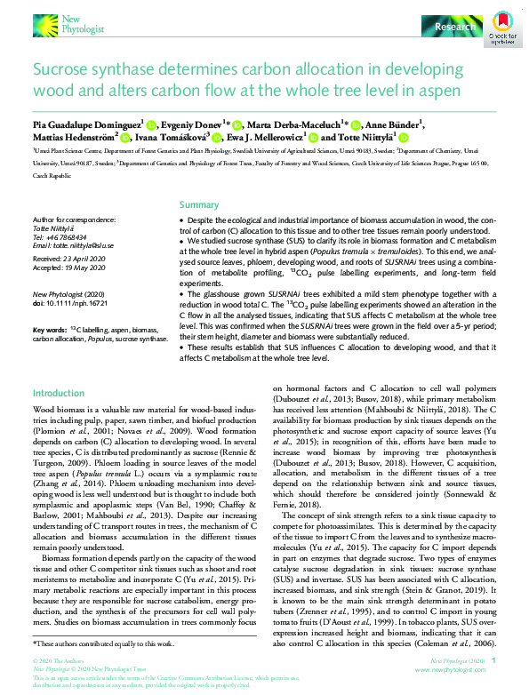 (PDF) Sucrose synthase determines carbon allocation in developing wood ...