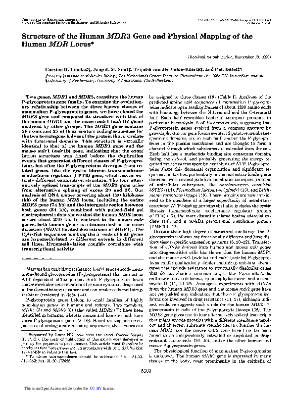 (PDF) Structure of the human MDR3 gene and physical mapping of the ...