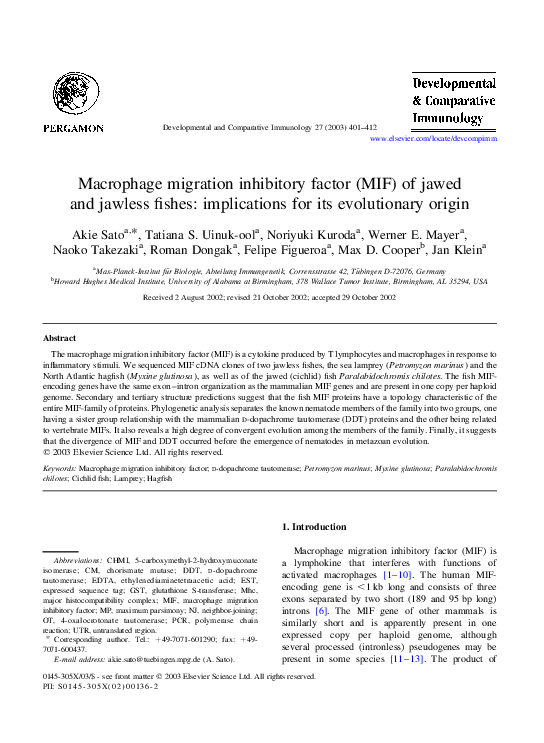 (PDF) Macrophage migration inhibitory factor (MIF) of jawed and jawless fishes: implications for ...