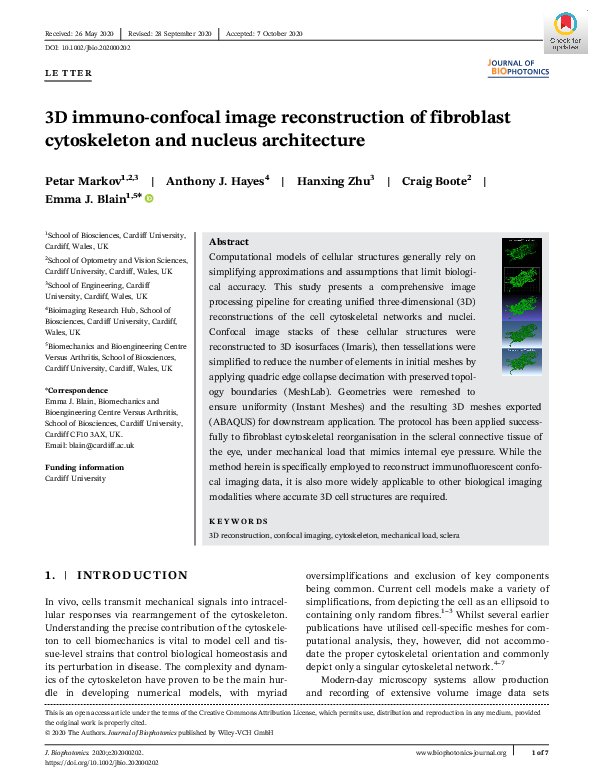 (PDF) 3D immuno‐confocal image reconstruction of fibroblast ...