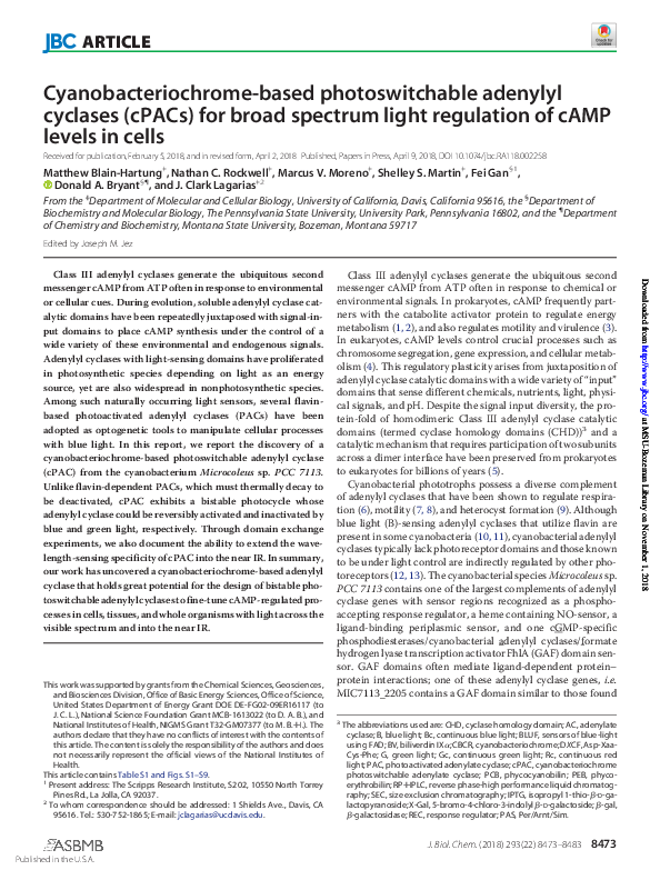 (PDF) Cyanobacteriochrome-based photoswitchable adenylyl cyclases ...