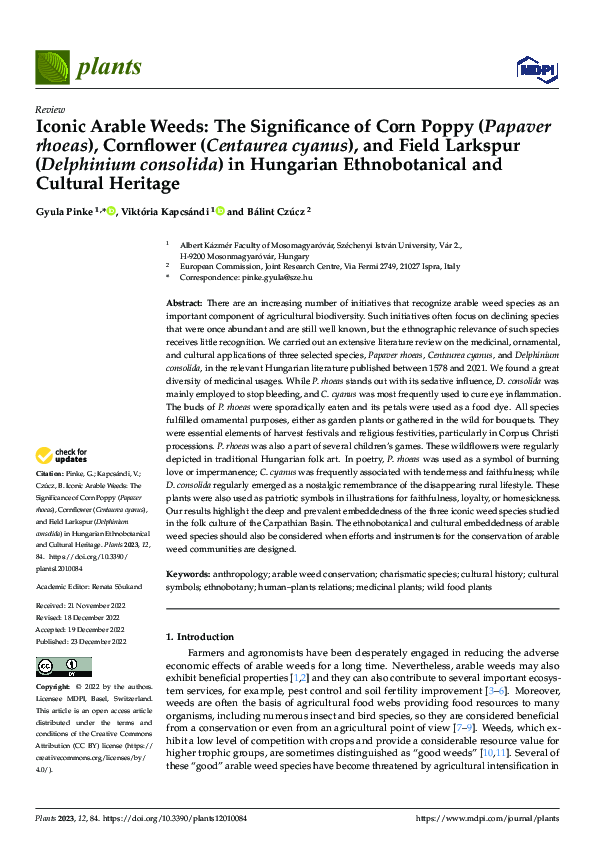 (PDF) Iconic Arable Weeds: The Significance of Corn Poppy (Papaver ...
