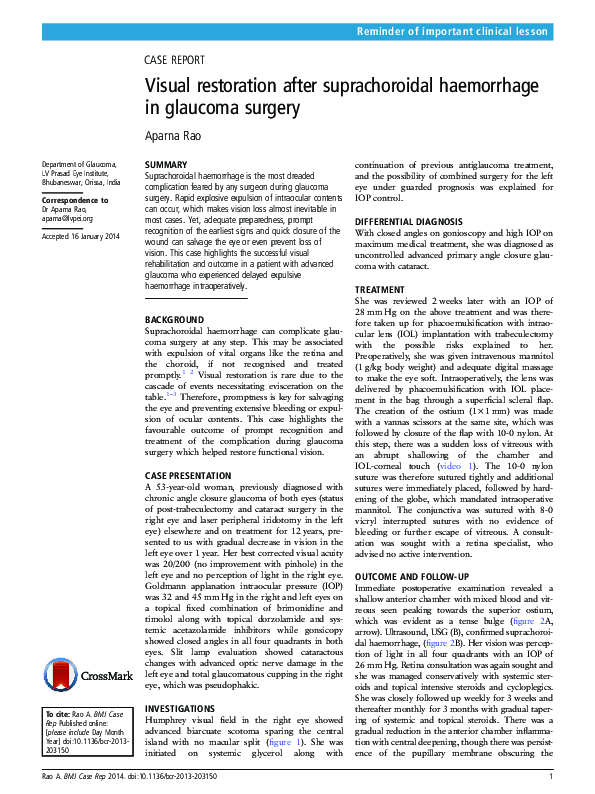 (PDF) Visual restoration after suprachoroidal haemorrhage in glaucoma ...