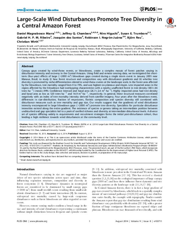 (PDF) Large-Scale Wind Disturbances Promote Tree Diversity in a Central ...