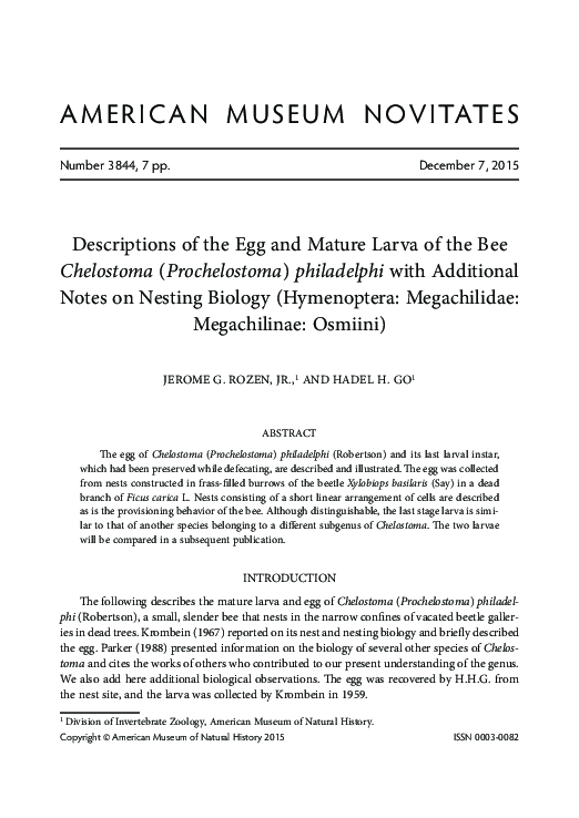 (PDF) Chelostoma (Prochelostoma) philadelphi