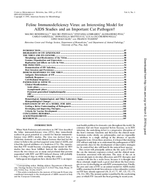 (PDF) Feline immunodeficiency virus: an interesting model for AIDS ...