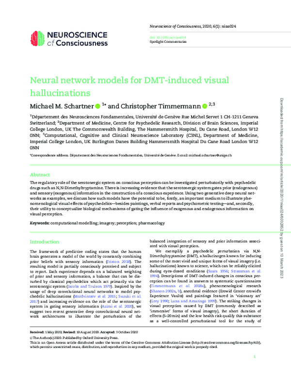 (PDF) Neural network models for DMT-induced visual hallucinations