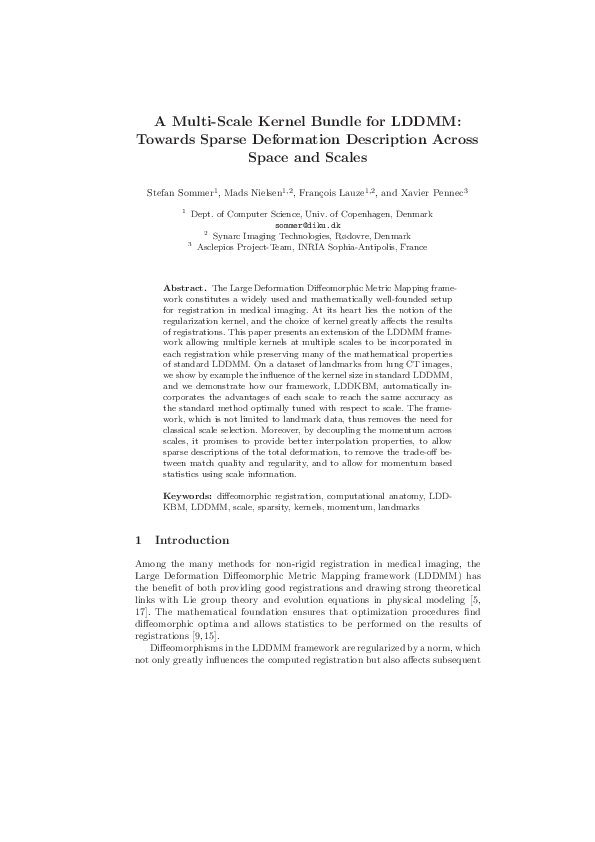 (PDF) A Multi-scale Kernel Bundle for LDDMM: Towards Sparse Deformation Description across Space ...
