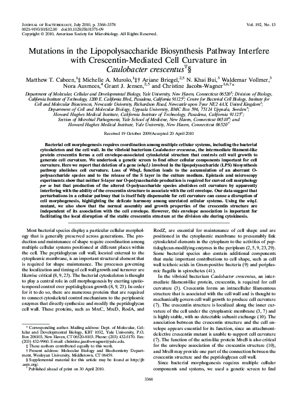 (PDF) Mutations in the Lipopolysaccharide Biosynthesis Pathway ...
