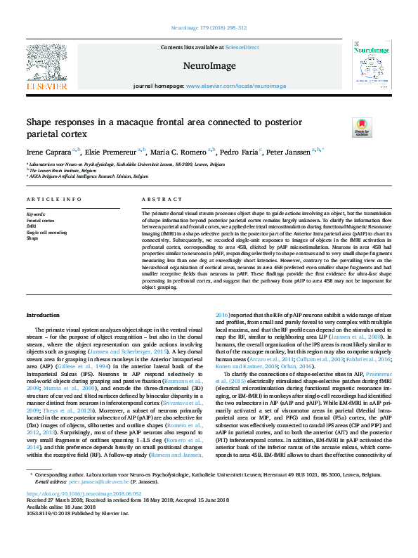 (PDF) Shape responses in a macaque frontal area connected to posterior parietal cortex