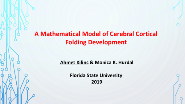 (PDF) A Mathematical Model of Cerebral Cortical Folding Development