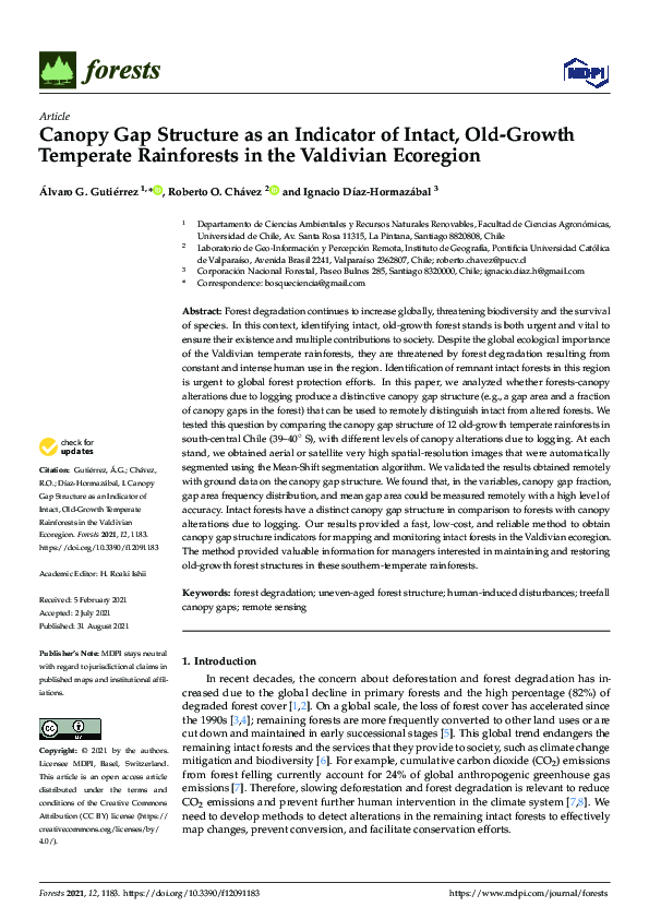 (PDF) Canopy Gap Structure as an Indicator of Intact, Old-Growth ...